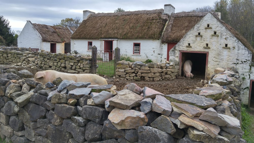 Frontier Culture Museum - 74 Photos & 33 Reviews - Museums - 1290 ...