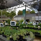 Buchanan’s Native Plants - 126 Photos & 122 Reviews - Nurseries ...