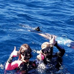 One Ocean Diving - 200 Photos & 154 Reviews - Free Diving - Haleiwa ...