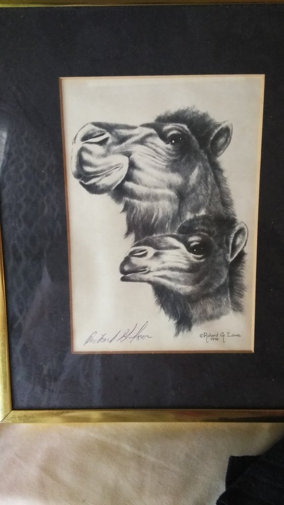 Lowe Richard G Gallery of Wildlife Art - Art Galleries - 28200 Hwy 189 ...