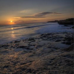 West Cliff Drive - 199 Photos & 127 Reviews - Beaches - 174 W Cliff Dr ...