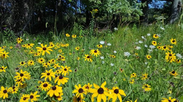 North Ridgeville, OH Map & Directions - MapQuest