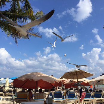 La Tarraya - 37 Photos & 23 Reviews - Seafood - Calle 2 Nte. 1, Centro ...