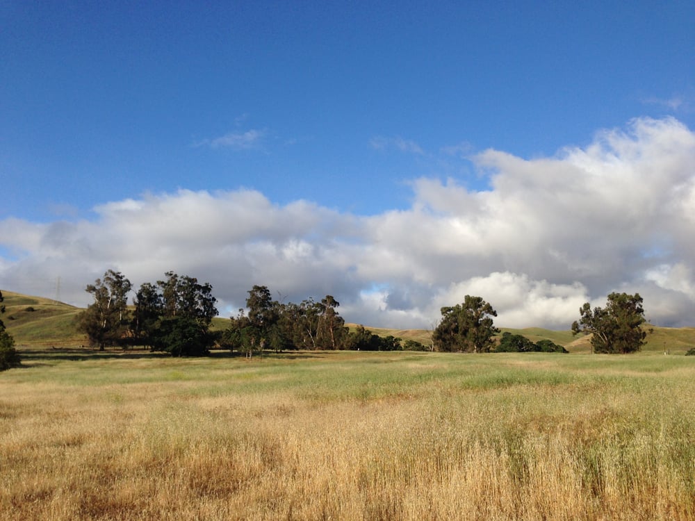 Sycamore Grove Park - Parks - Livermore, CA - Yelp