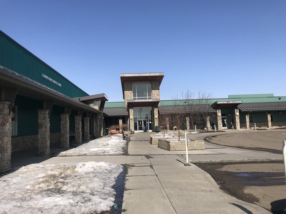 Edmonton Humane Society - 25 Photos & 44 Reviews - Animal Shelters ...