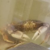 Taylor Shellfish Farms - 301 Photos & 120 Reviews - Seafood Markets ...