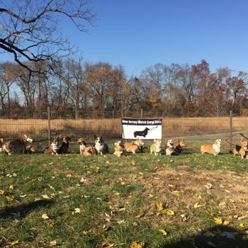 Pennington Park - 20 Photos & 12 Reviews - Parks - Creek Rd, Delanco ...