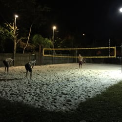 Jax Beach Volleyball - Sports Clubs - 930 10th St N, Beaches ...