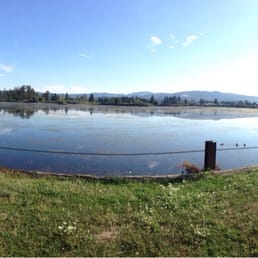 Cheadle Lake Park - Lakes - 3597-4129 South Santiam Hwy, Lebanon, OR - Yelp