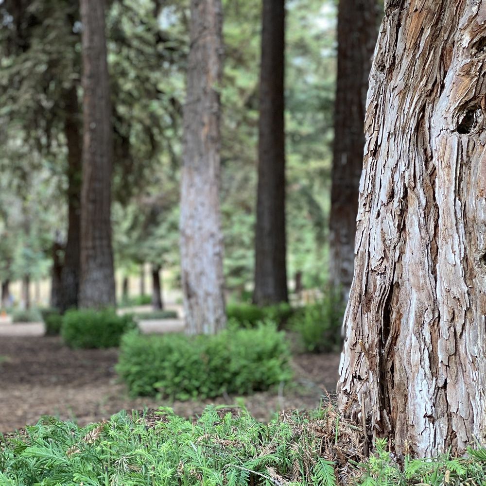 Parks With Unique Features - Yelp
