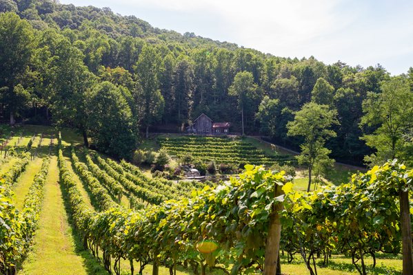 Dillard, GA Map & Directions - MapQuest