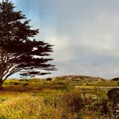 Pillar Point RV Park - 68 Photos & 59 Reviews - RV Parks - 4000 ...