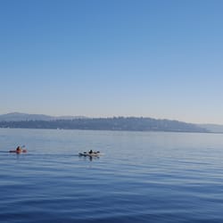 Madrona Park - 30 Photos & 20 Reviews - Parks - 853 Lake Washington ...