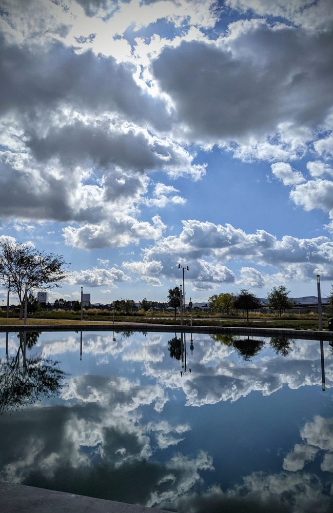 Sally Calder | Area Info