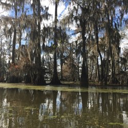 Bayou Teche Experience - Tours - 317 E Bridge St, Breaux Bridge, LA ...