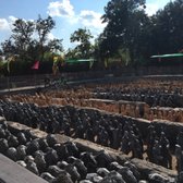 Lucky Land - 250 Photos & 13 Reviews - Cultural Center - 8625 Airline ...