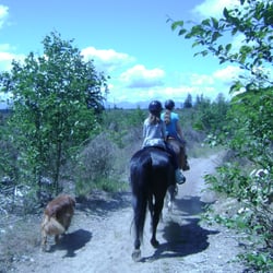 The Whole Horse Place - Horseback Riding - 4764 SW Old Forest Way, Port ...