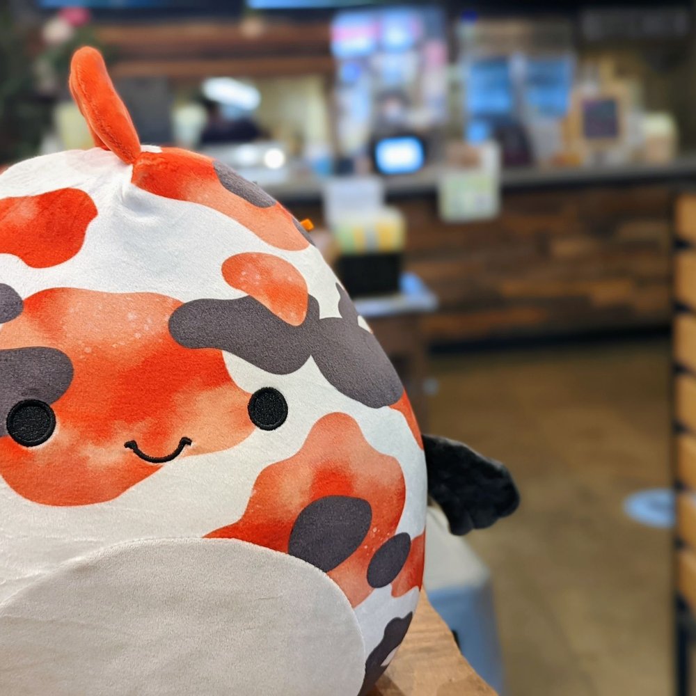 Seattle Bubble Tea a Go Go - Seattle, WA - Yelp