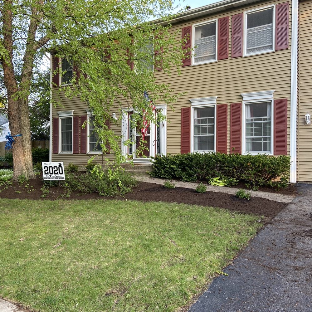 Your Guide to All Things Green in the Chicago Burbs! - Yelp