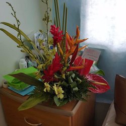 Tove’s Flower Shop - Florists - 224 Farenholt Avenue, Tamuning, Guam ...