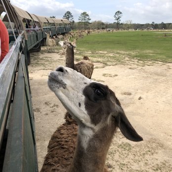 Global Wildlife Center - 420 Photos & 79 Reviews - Zoos - 26389 Hwy 40 ...