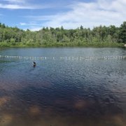 Harold Parker State Forest - 59 Photos & 30 Reviews - Parks - 1951 ...