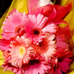 Francesca’s Flowers & Gardens - 13 Reviews - Florists - 828 San Domingo ...