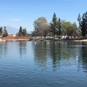 Seccombe Lake Park - 12 Photos & 13 Reviews - Parks - 160 W 5th St, San ...