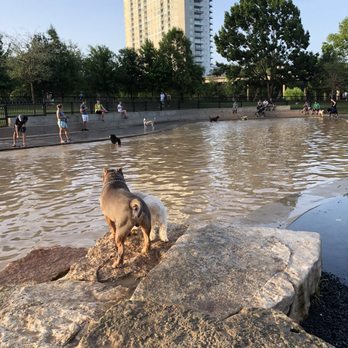 Johnny Steele Dog Park - 142 Photos & 113 Reviews - Dog Parks - 2929 ...