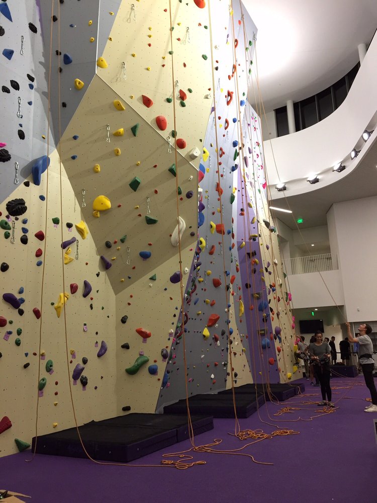 Mashouf Wellness Center - Gyms - 755 Font Blvd, Parkmerced, San ...