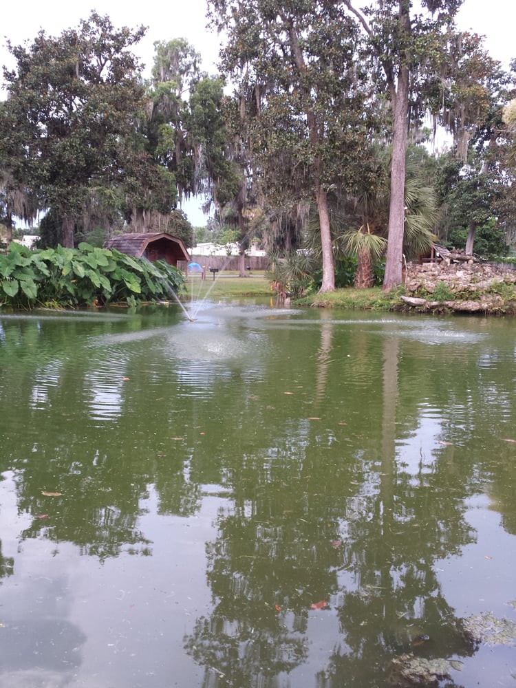 Ocala RV-Camp Resort - 13 Photos - Campgrounds - 3200 SW 38th Ave ...