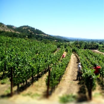 Shafer Vineyards - 170 Photos & 44 Reviews - Wineries - 6154 Silverado ...
