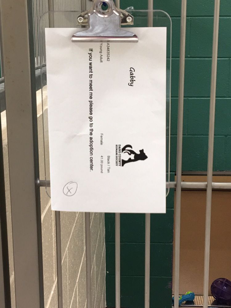 Dane County Humane Society - 2019 All You Need to Know BEFORE You Go ...