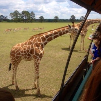 Global Wildlife Center - 186 Photos & 44 Reviews - Zoos - 26389 Hwy 40 ...
