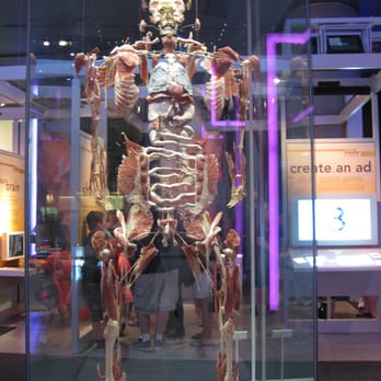 Museum of Science and Industry - Cinema - Chicago, IL - Yelp