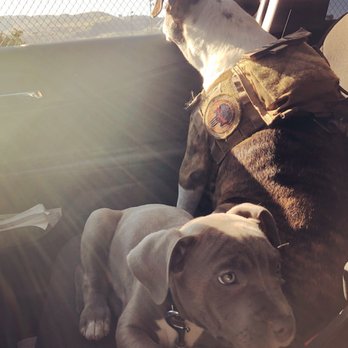 Feed Barn - 2019 All You Need to Know BEFORE You Go (with Photos) Pet ...