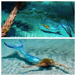 Mermaid Event Performers and Underwater Entertainment - 10 Photos ...