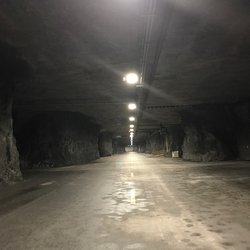 Springfield Underground - Real Estate - 2019 N Lecompte Rd, Springfield ...