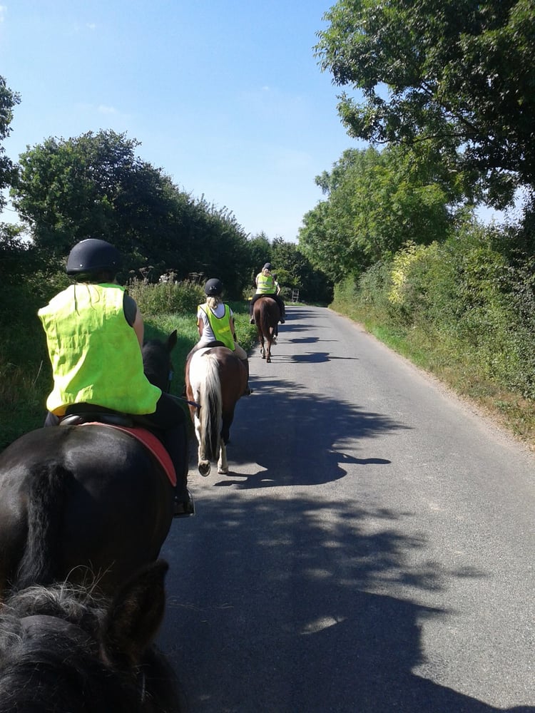 Barrow Hall Stables - Horseback Riding - Church Road, Bury St. Edmunds ...