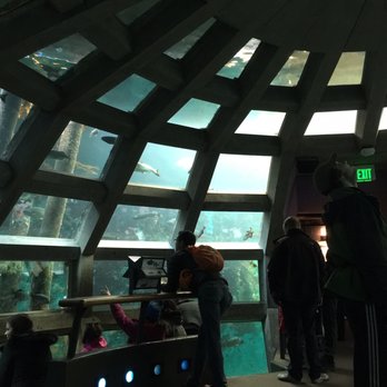 Seattle Aquarium - 1990 Photos & 861 Reviews - Aquariums - 1483 Alaskan ...
