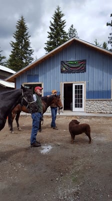 Cusick, WA Map & Directions - MapQuest