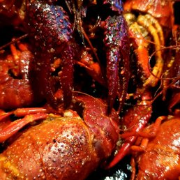 The Cajun Table - 89 Photos & 25 Reviews - Cajun/Creole - 4510 ...