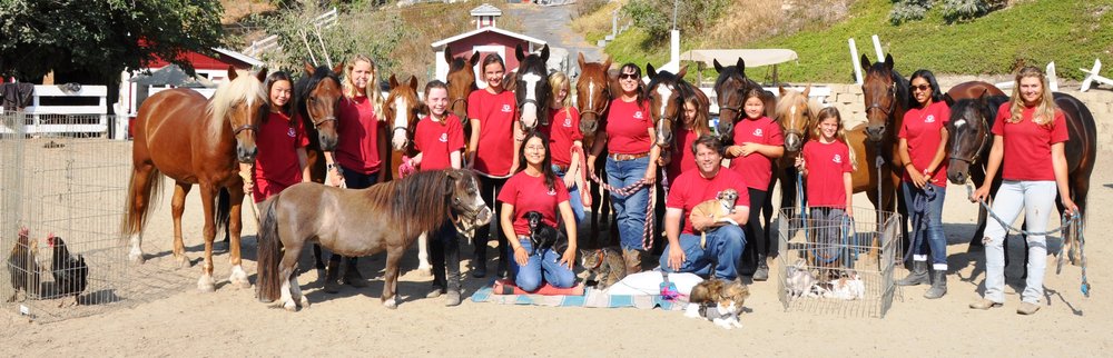 Mystic Canyon Stable - 10 Photos - Horseback Riding - 3739 Palos Verdes ...