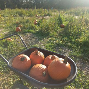 Butler’s Orchard - 303 Photos & 207 Reviews - Farmers Market - 22222 ...