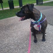 Humane Animal Rescue - 23 Photos & 48 Reviews - Animal Shelters - 6620 ...