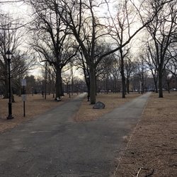 Wooster Square Park - 32 Photos - Parks - 570 Chapel St, New Haven, CT ...