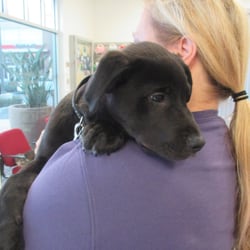 Ladera Ranch Animal Hospital - 14 Photos & 41 Reviews - Veterinarians ...