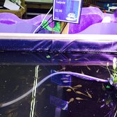 That Fish Place - That Pet Place - 76 Photos & 68 Reviews - Local Fish ...