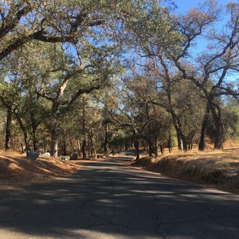 Beals Point Campground - 66 Photos & 11 Reviews - Campgrounds - 7806 ...