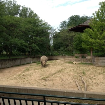 Henry Vilas Park Zoo - 206 Photos & 140 Reviews - Zoos - 702 S Randall ...